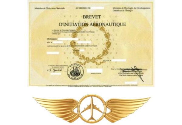 Brevet d'Initiation Aéronautique: Votre premier pas - BIA FRANCE